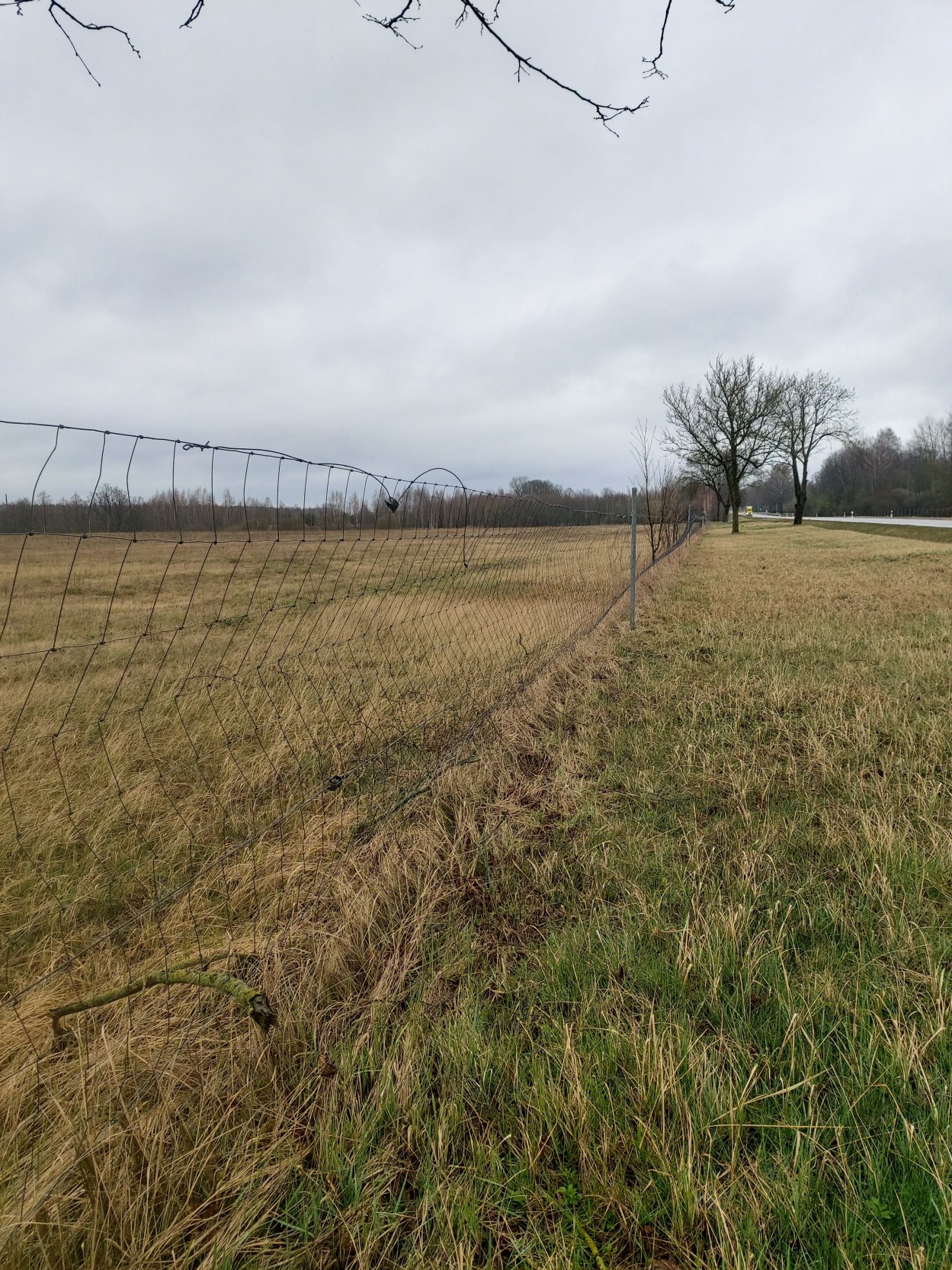 Jonavos r. vagiami metaliniai stulpai – šiemet pavogtas jau 351 stulpas ...