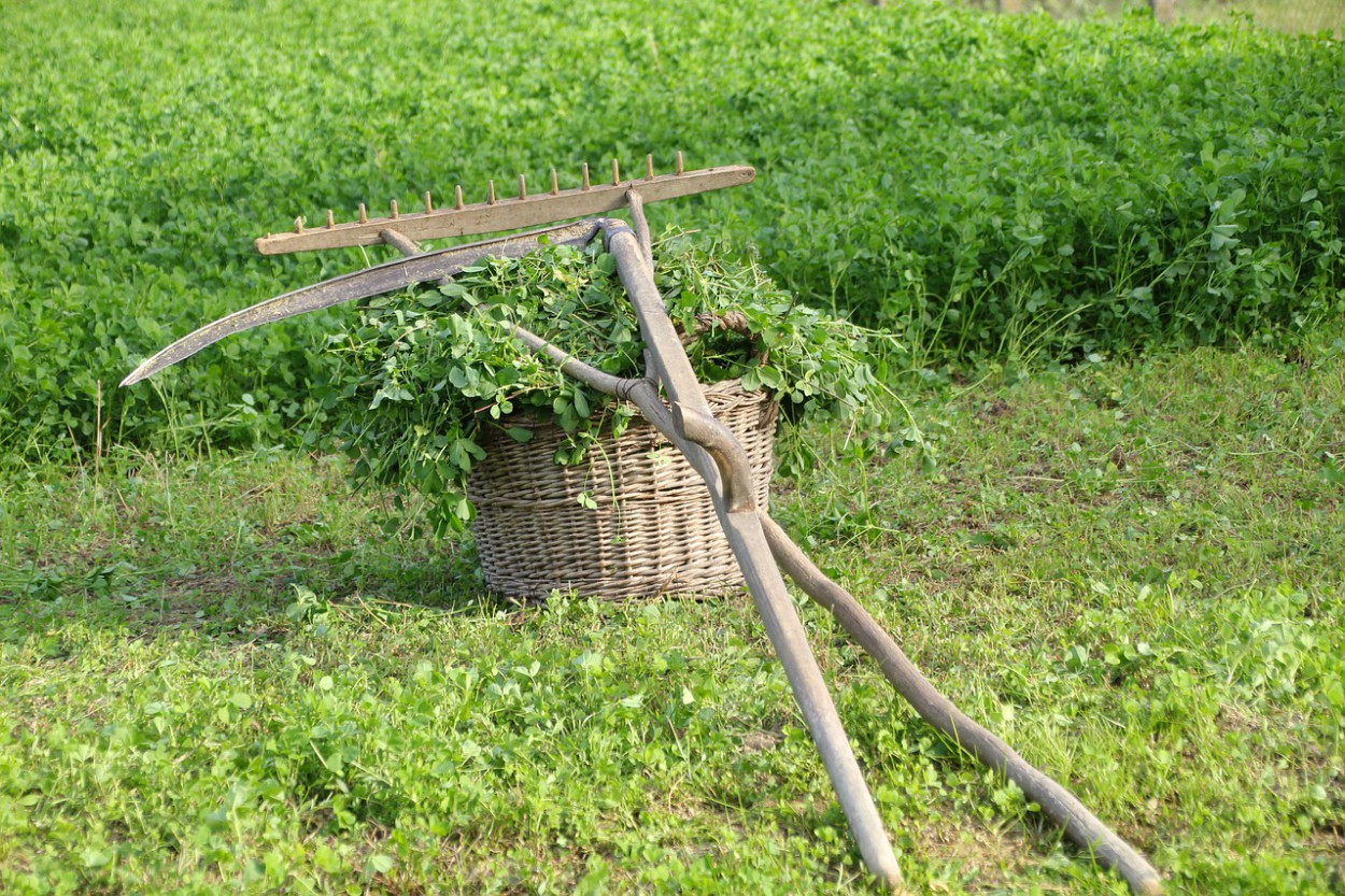Registrų centras: tarp areštuoto skolininkų turto pernai buvo ir ...